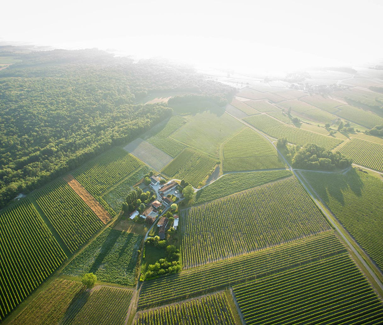 Rémy Martin - Discover cognac - What is cognac? - USA