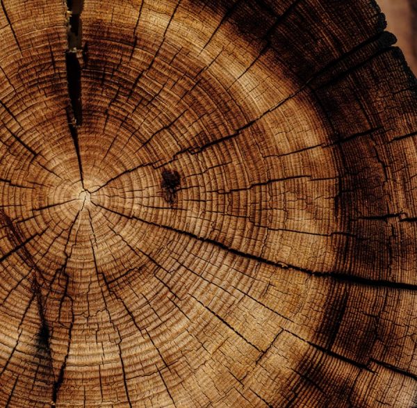 Rémy Martin 1738 Accord Royal - Cognac Fine Champagne