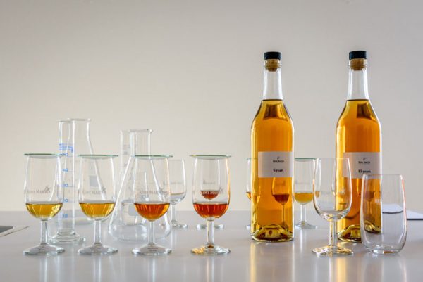 Rémy Martin - Discover cognac - What is cognac? - International