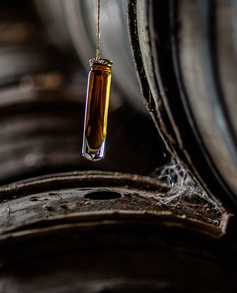 How cognac is made - Discover Cognac - Remy Martin - USA