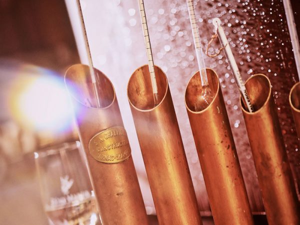 How cognac is made - Discover Cognac - Remy Martin - USA