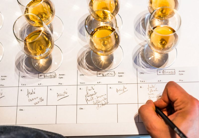 Rémy Martin - How cognac is made - International