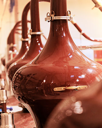 Rémy Martin - How cognac is made - International