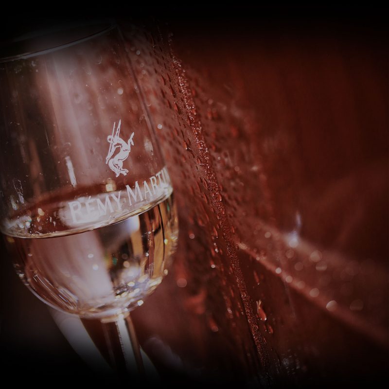 Rémy Martin Club - Cognac Fine Champagne - International