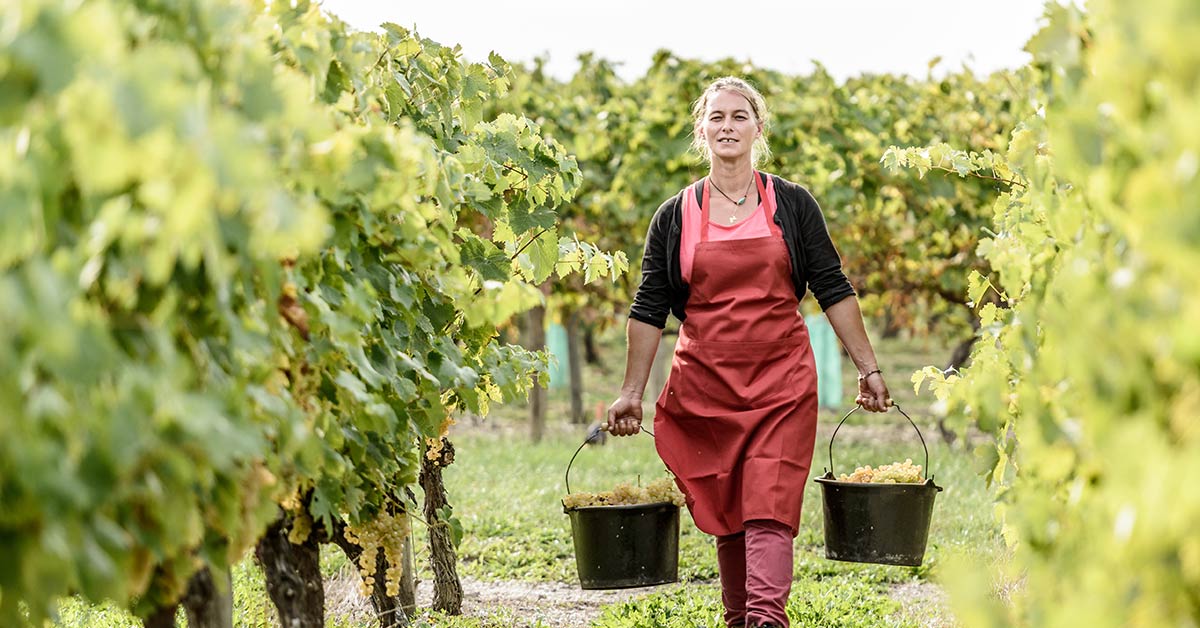 Rémy Martin - Our Commitment - The people - International