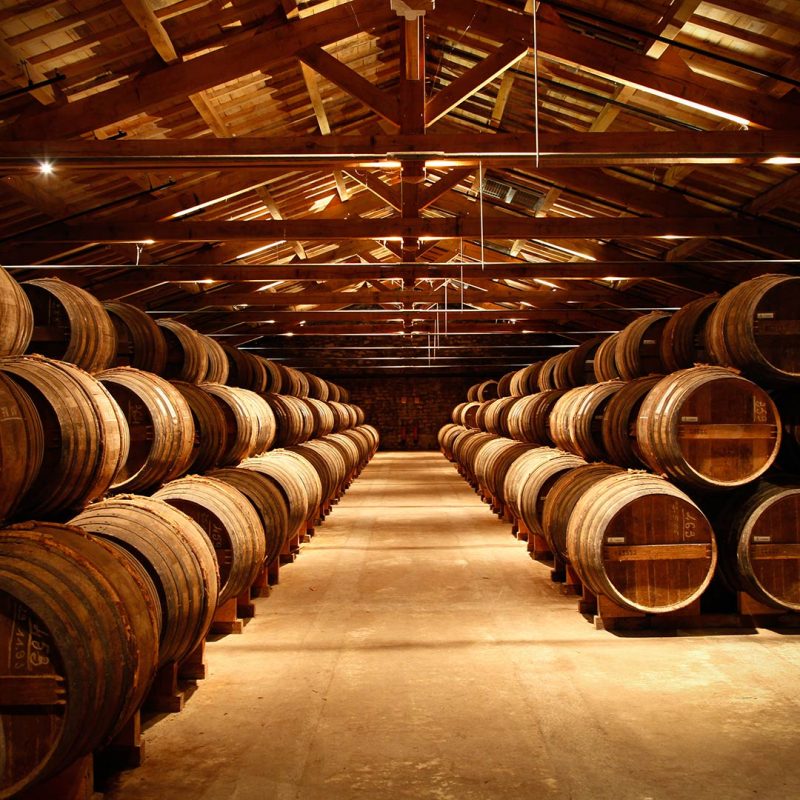 Rémy Martin cognac tour - prestige tourism in Cognac