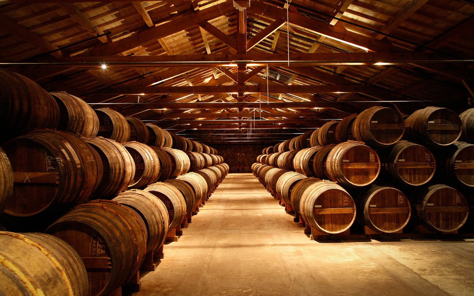 Cognac vs Whiskey: What’s the Difference? - Rémy Martin USA