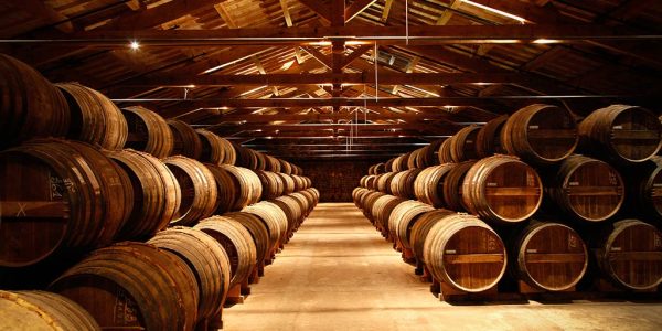 Cognac vs Brandy: What is the Difference? - Rémy Martin UK
