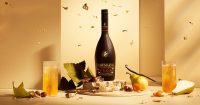 The Rémy Apricot Fizz - Cognac Cocktail Recipe - Remy Martin - USA