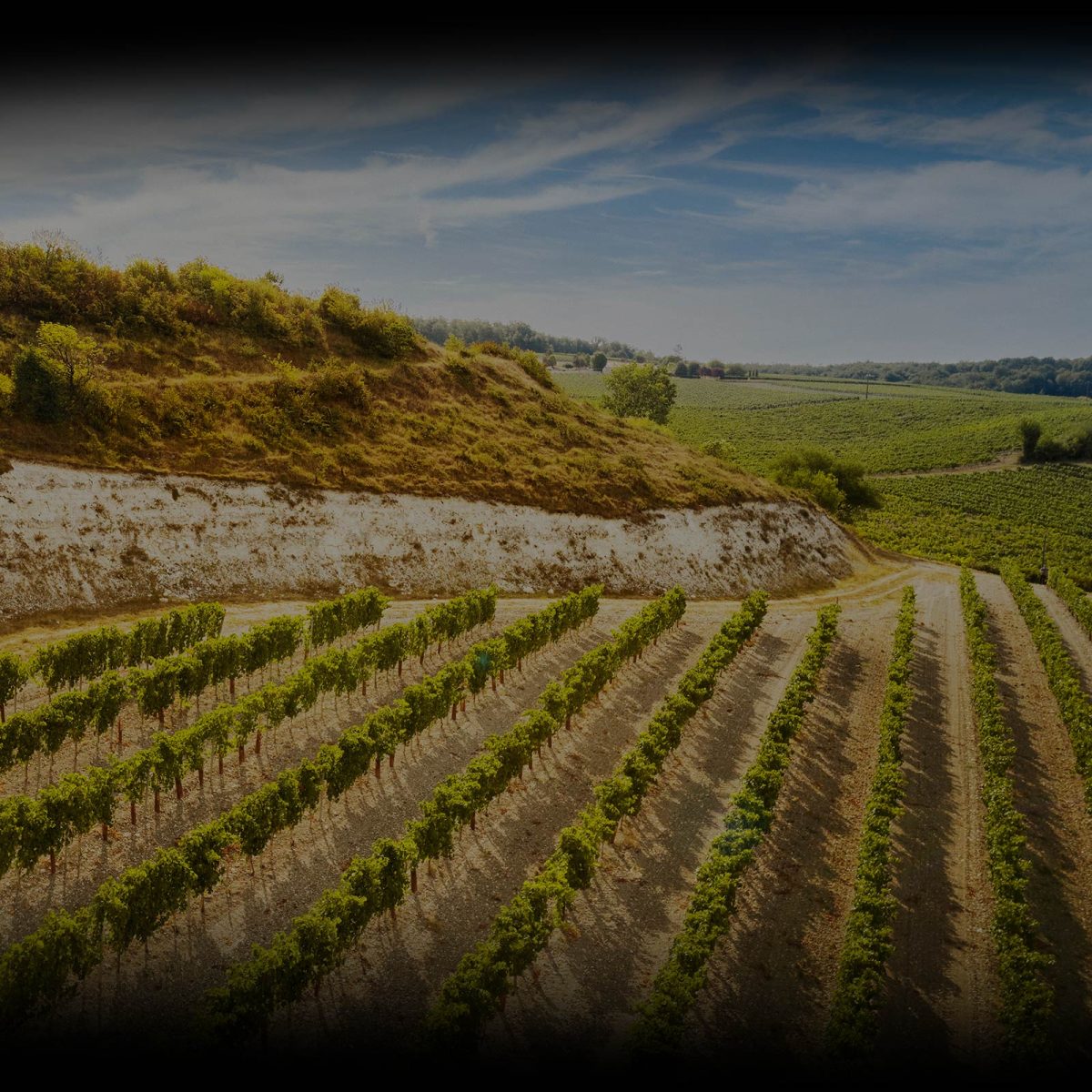 Rémy Martin - This is my City - USA