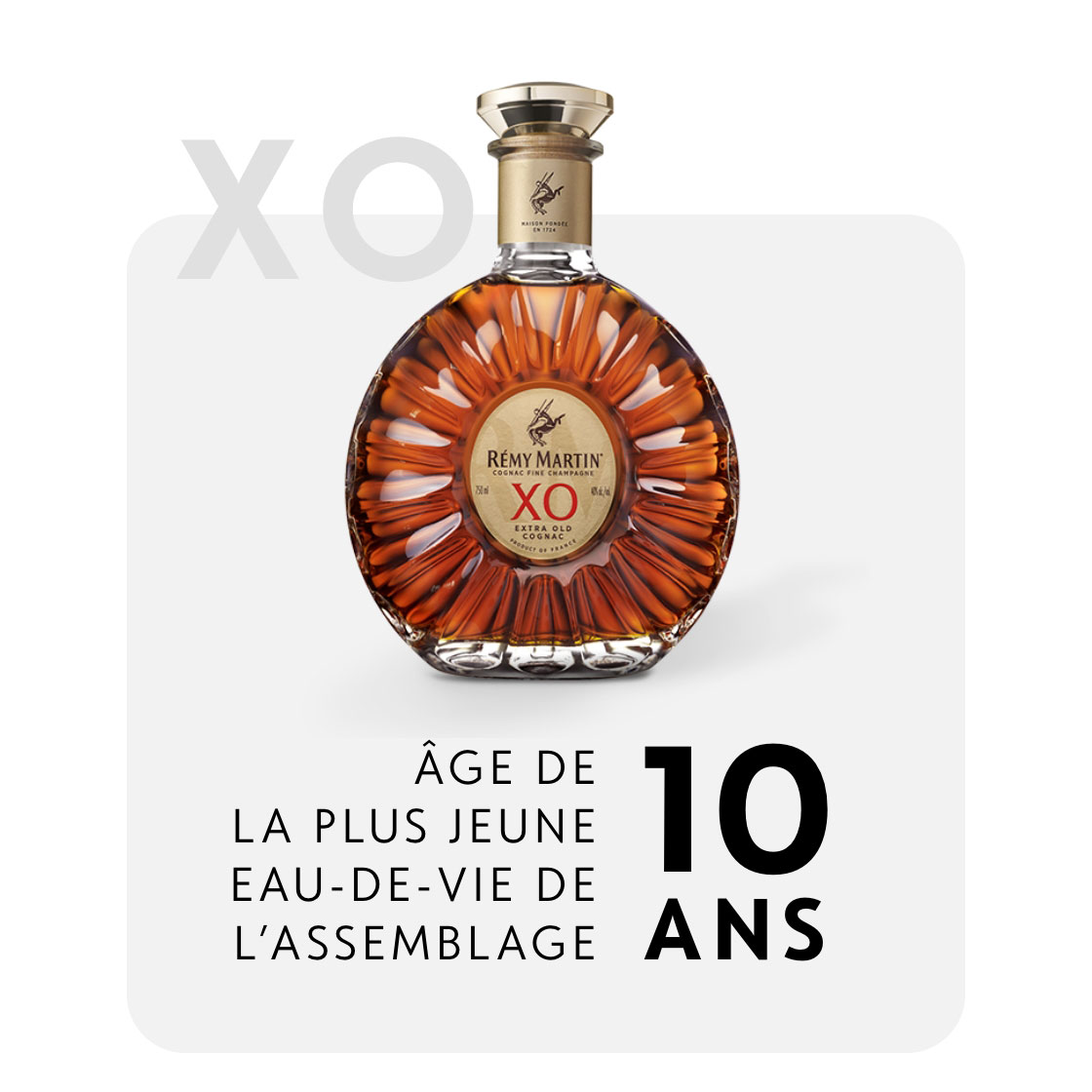 Que signifient VSOP et XO ? - Rémy MartinFrance